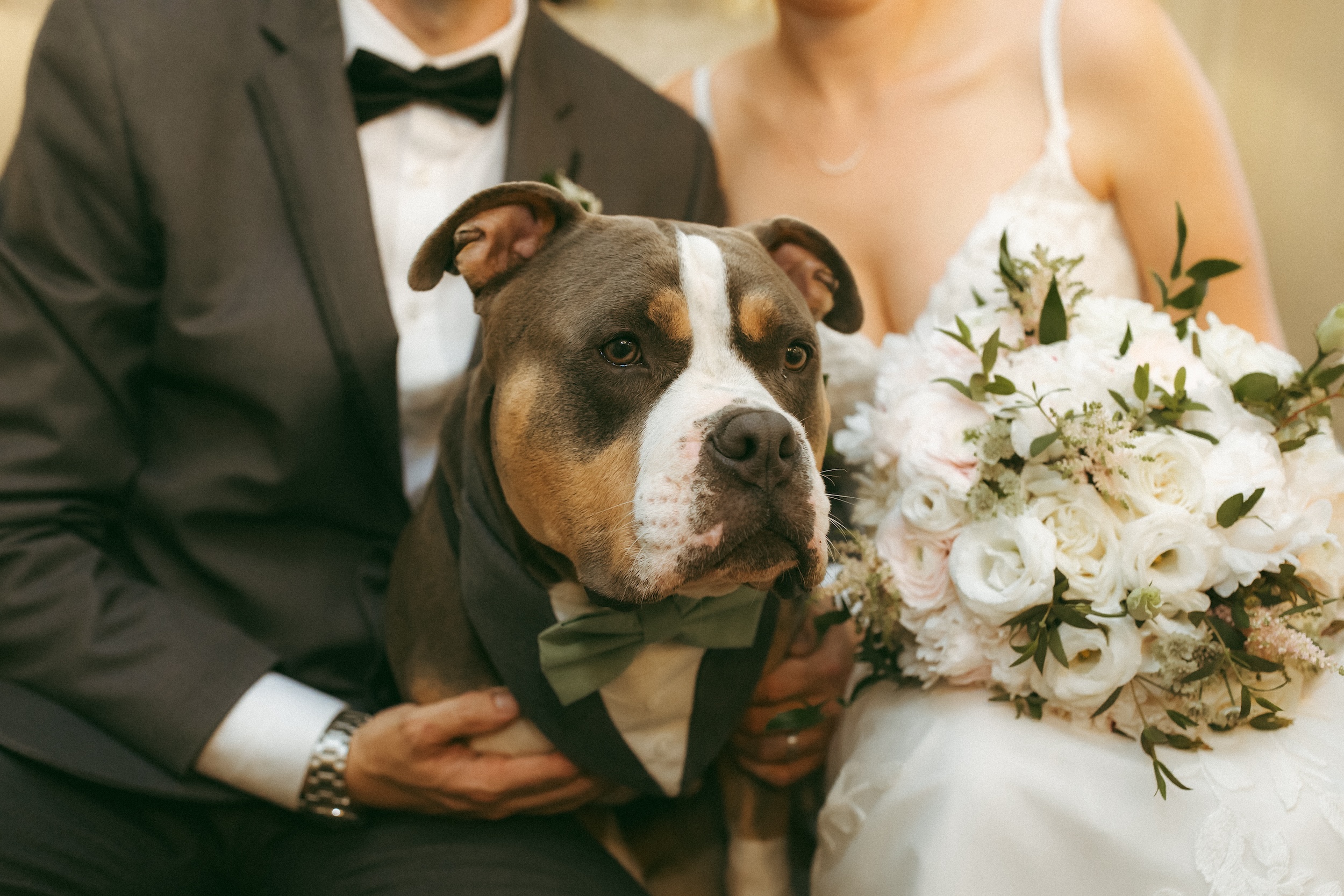 Planning a Wedding with Your Pup? Here’s How We Do It at Century Barn ...